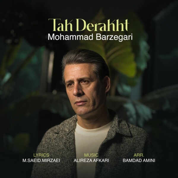 دانلود آهنگ محمد برزگری به نام تک درخت Mohammad Barzegari Tak Derakht
