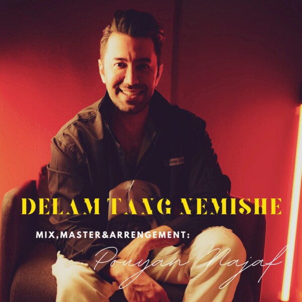 دانلود آهنگ پویان نجف به نام دلم تنگ نمیشه Pouyan Najaf Delam Tang Nemishe